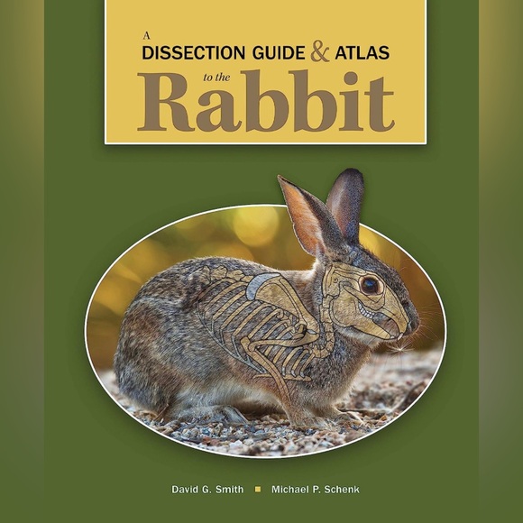 Other | New Sealed Rabbit Dissection Guide | Poshmark